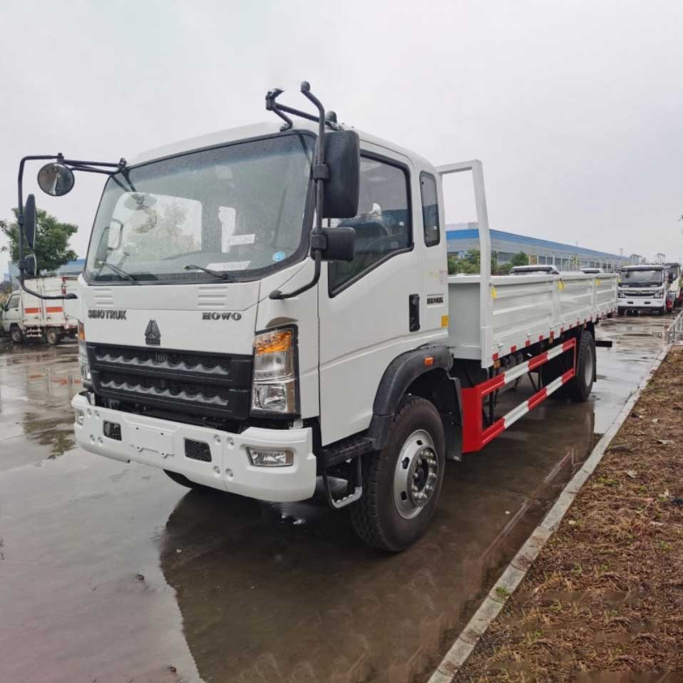 Sinotruk HOWO 4X2 371HP Lorry Truck Cargo Truck with Sidewall for Sale ...